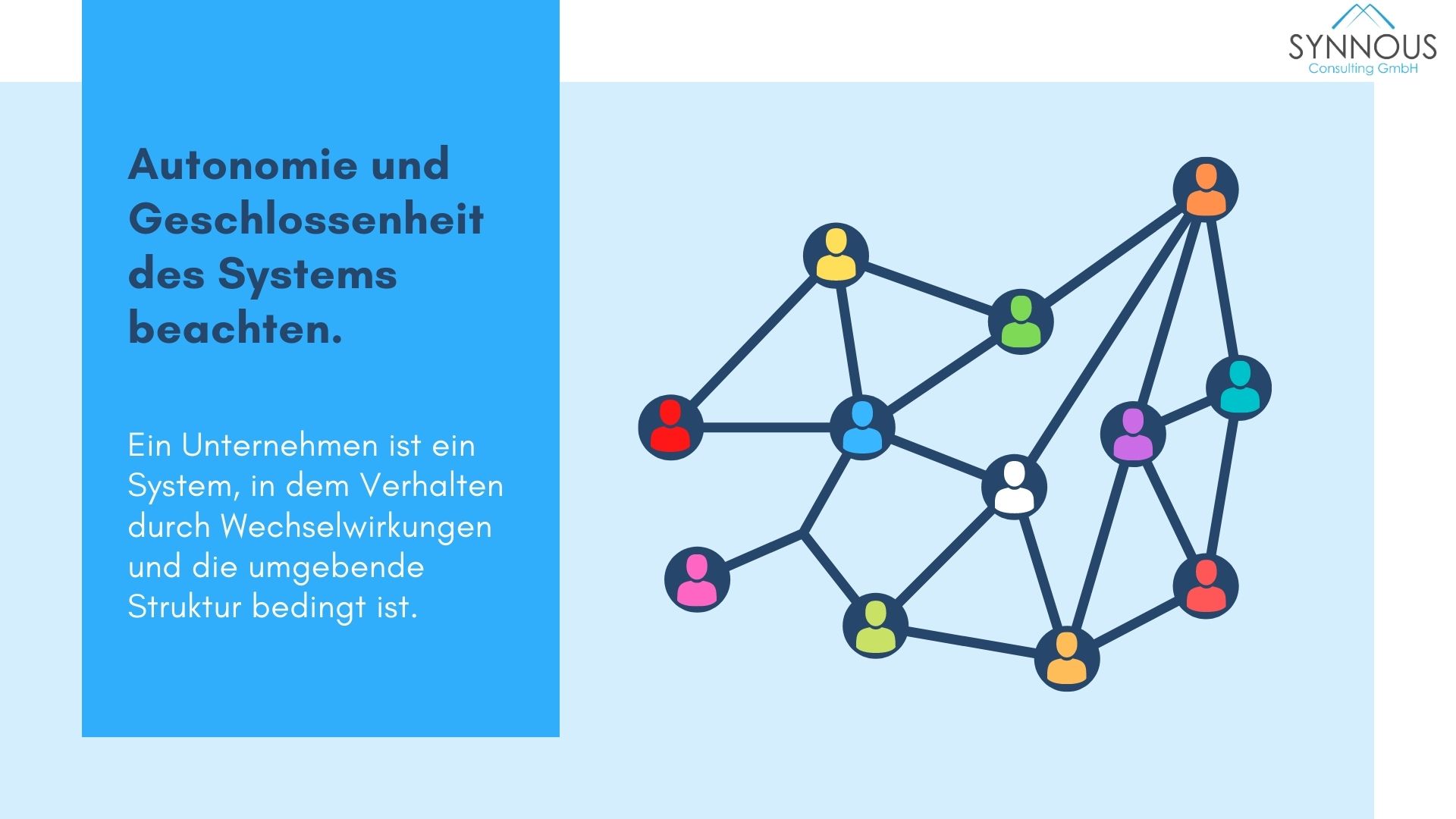 Systemische Führung - Drei Ansatzpunkte - Synnous